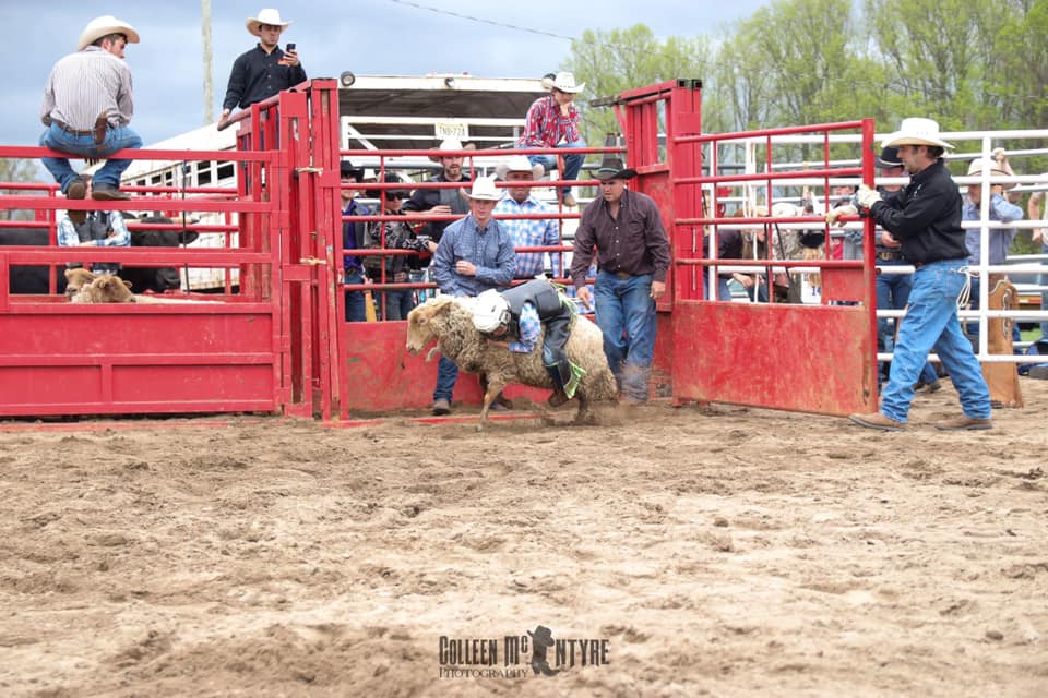 "MUTTON BUSTING"